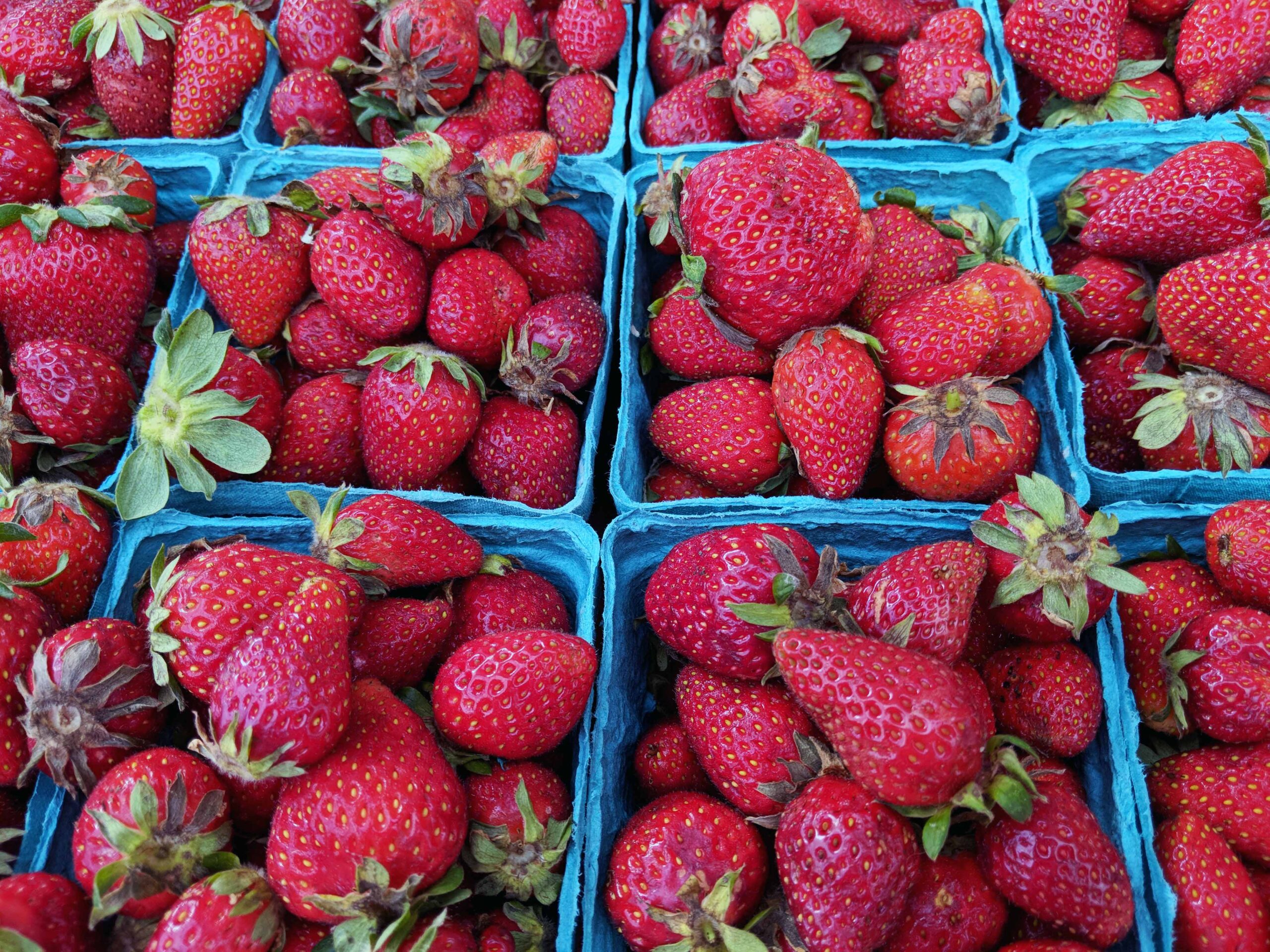 Saturday, May 3rd, from 8am to 12pm! - Chatham Mills Farmers Market